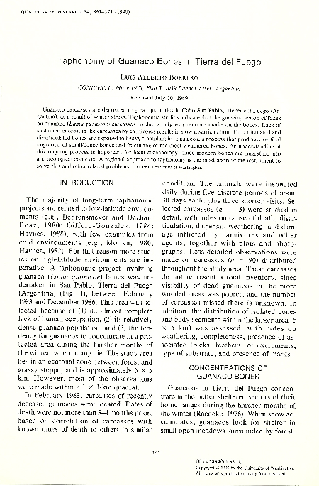 (PDF) Taphonomy of Guanaco Bones In Tierra Del Fuego