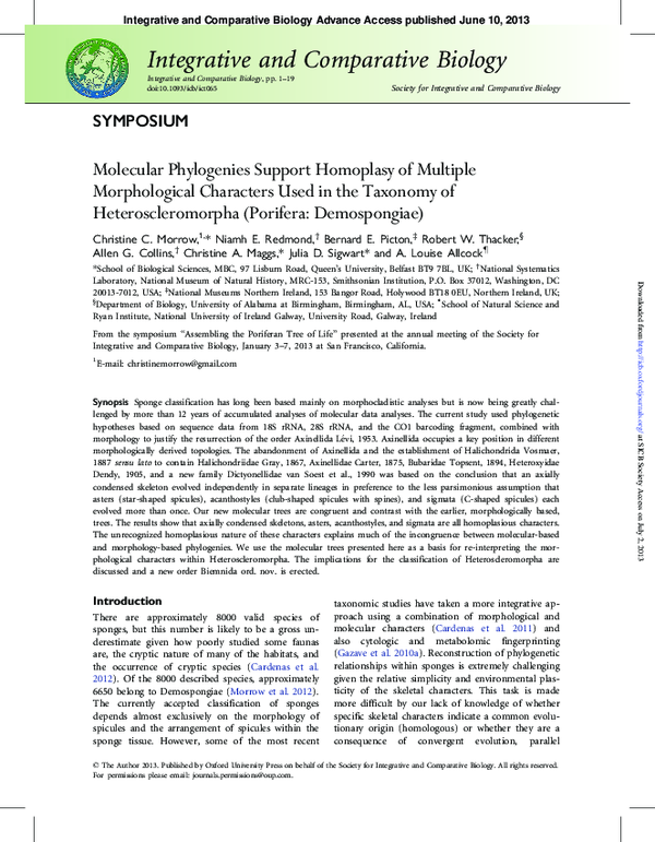 (PDF) Molecular Phylogenies Support Homoplasy of Multiple Morphological Characters Used in the ...