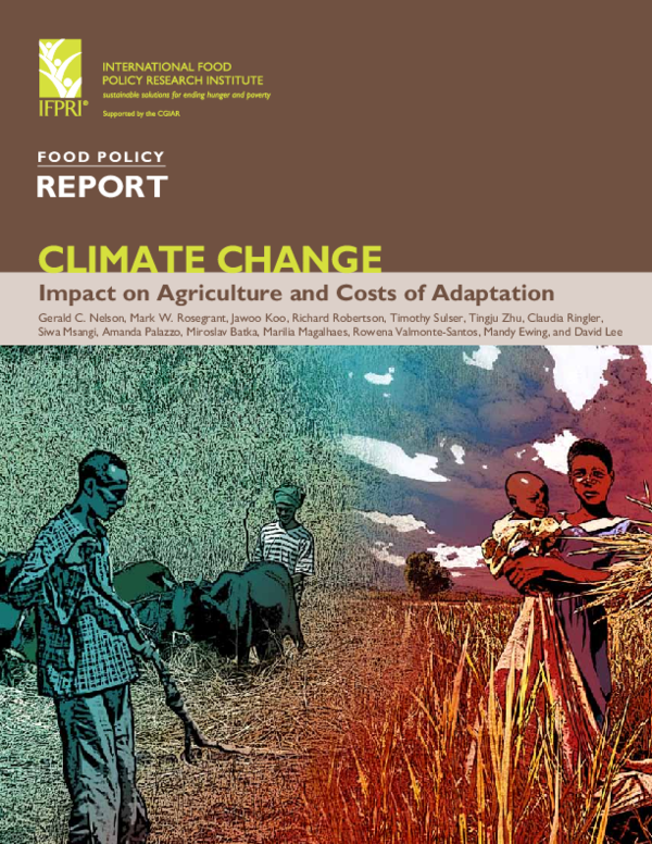 (PDF) Climate change impact on Agriculture and costs of Adaptation - IFPRI