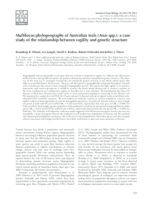 (PDF) Multilocus phylogeography of Australian teals (Anas spp.): a case ...