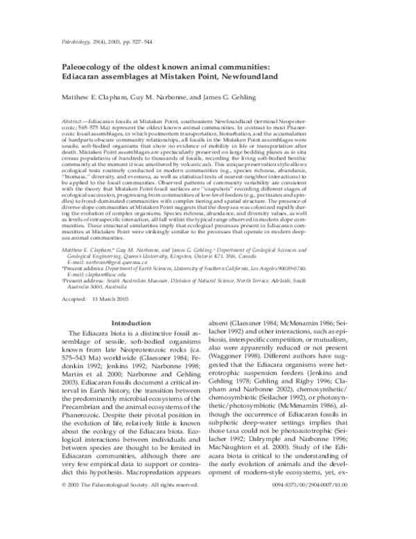 (PDF) Remarkable insights into the paleoecology of the Avalonian ...