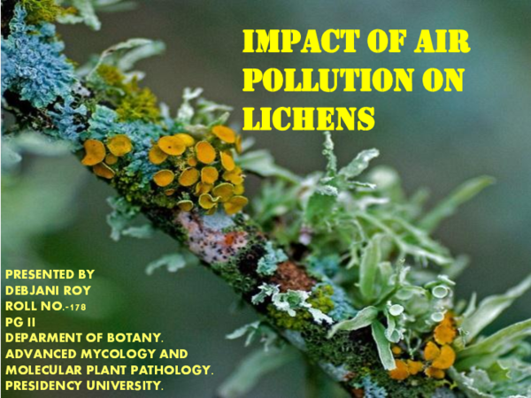 (PPT) lichen sensitivity to air pollution