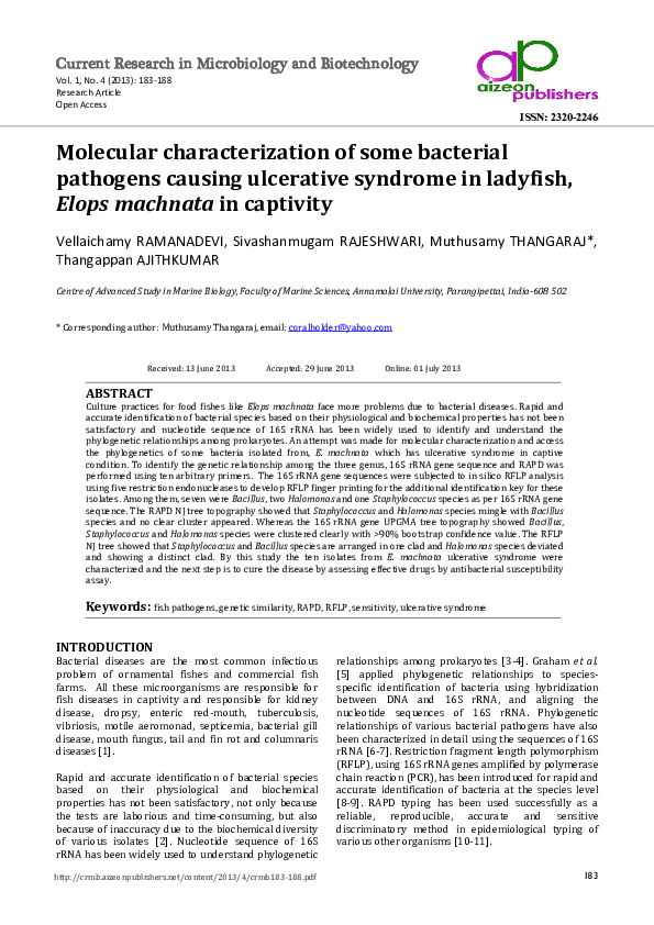 (PDF) Molecular characterization of some bacterial pathogens causing ...