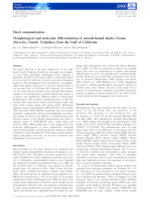 (PDF) Morphological and molecular differentiation of smooth-hound ...