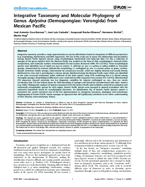 (PDF) First record of Plakortis Schulze (Porifera: Homosclerophorida ...