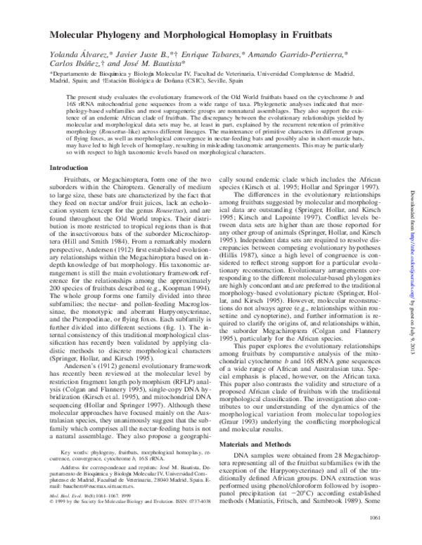 (PDF) Molecular Phylogeny and Morphological Homoplasy in Fruitbats