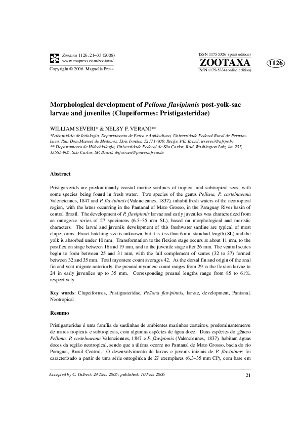 (PDF) Morphological development of Pellona flavipinnis post-yolk-sac ...