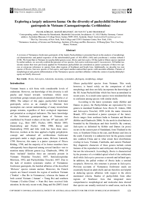 (PDF) Exploring a largely unknown fauna: On the diversity of pachychilid freshwater gastropods ...