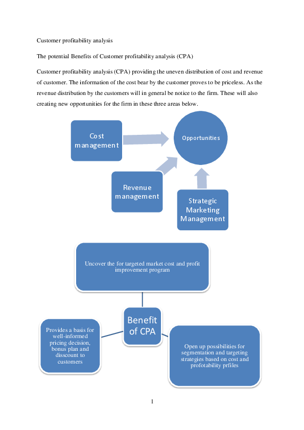 (DOC) Customer Profitability Analysis