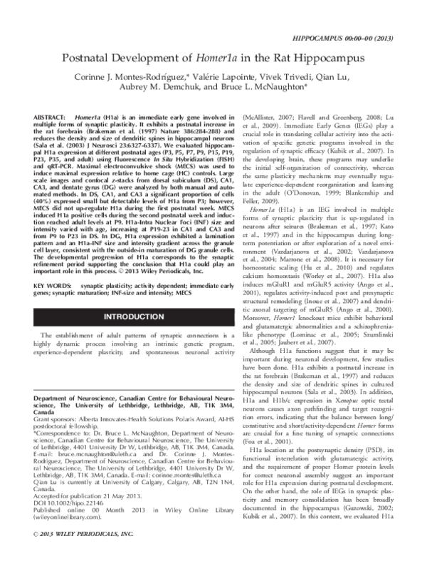 (PDF) Postnatal Development of Homer1a in the Rat Hippocampus