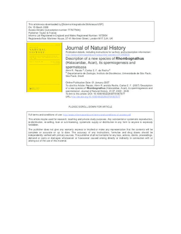 (PDF) Description of a new species of Rhombognathus (Halacaridae, Acari ...