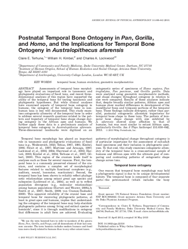 (PDF) Postnatal temporal bone ontogeny in Pan, Gorilla, and Homo, and ...