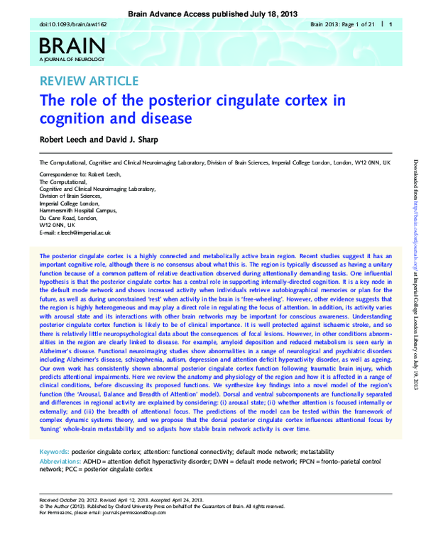 The Role Of The Posterior Cingulate Cortex In Cognition And Disease