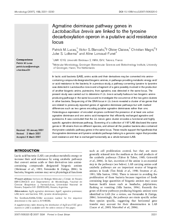 (PDF) Agmatine deiminase pathway genes in Lactobacillus brevis are ...