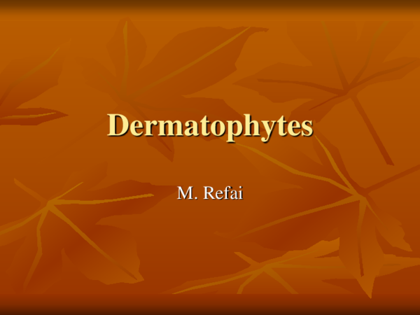 (PPT) Dermatophytes, a diploma lecture