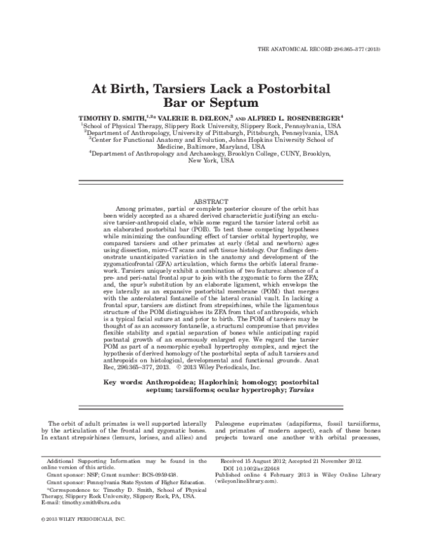 (PDF) At Birth, Tarsiers Lack a Postorbital Bar or Septum
