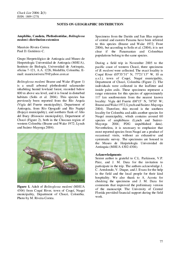 (PDF) Amphibia, Caudata, Plethodontidae, Bolitoglossa medemi ...