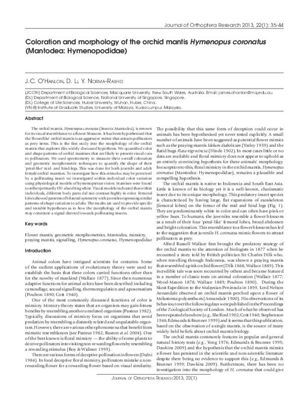 (PDF) Colouration and morphology of the orchid mantis Hymenopus ...