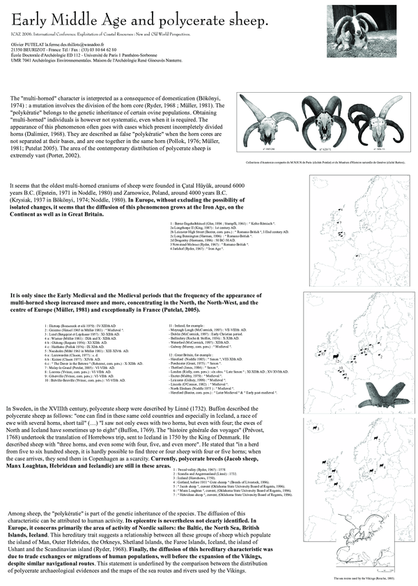(PDF) Polycerate sheep (ICAZ Mexico 2006 - Poster)