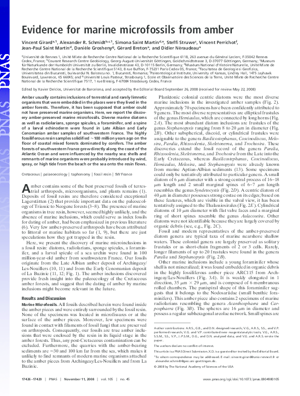 (PDF) Evidence for marine microfossils from amber