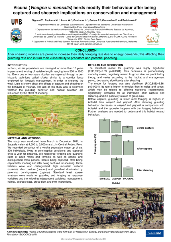 (PDF) Vicuña (Vicugna v. mensalis) herds modify their behaviour after ...