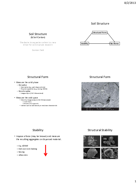 (PDF) Soil Structure