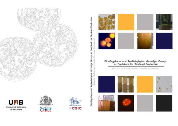 Pdf Dinoflagellates And Raphidophytes Microalgal Groups As Feedstock