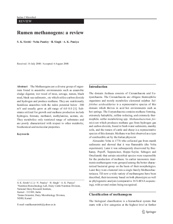 (PDF) Rumen methanogens: a review