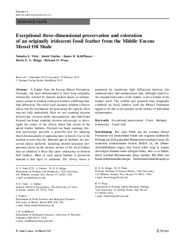 (PDF) Exceptional three-dimensional preservation and coloration of an ...