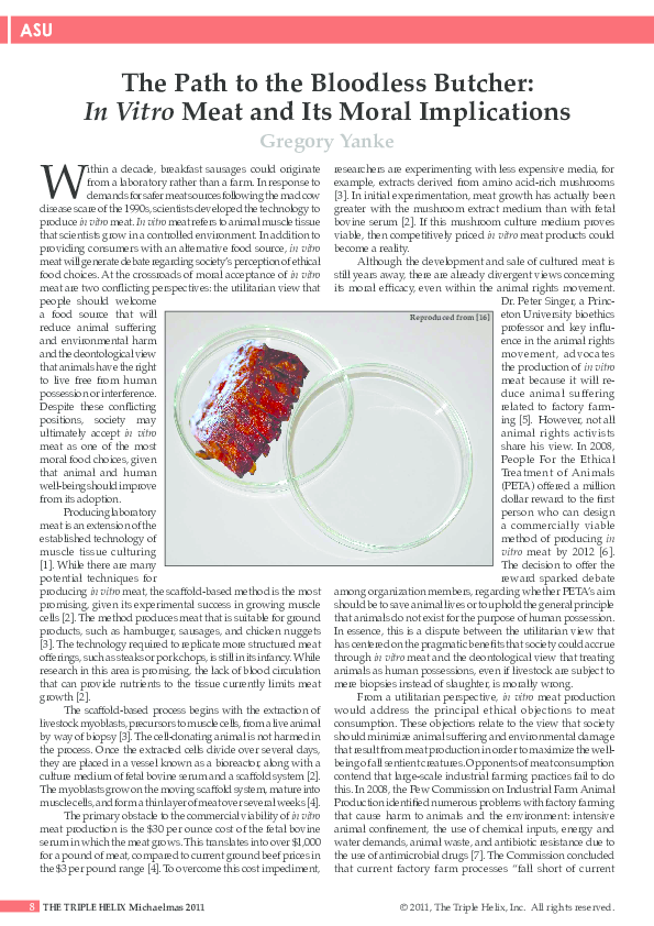 (PDF) The Path to the Bloodless Butcher: In Vitro Meat and Its Moral ...