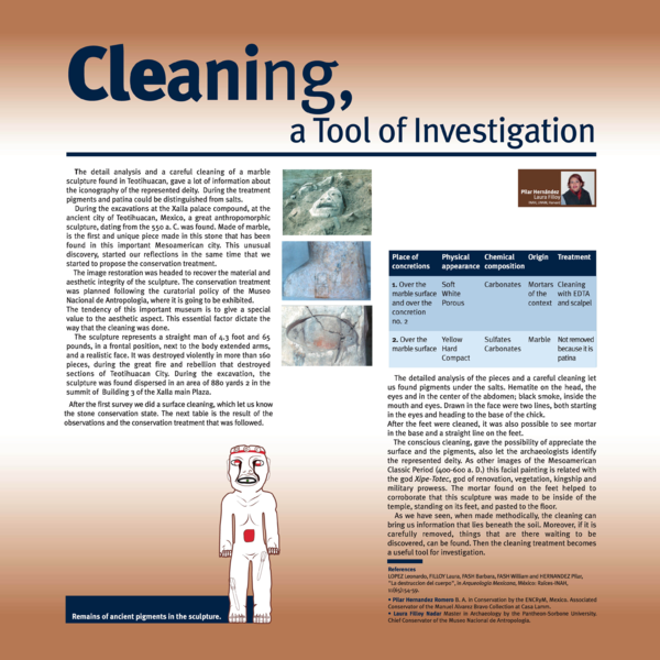 (PDF) Cleaning as a Tool of Investigation