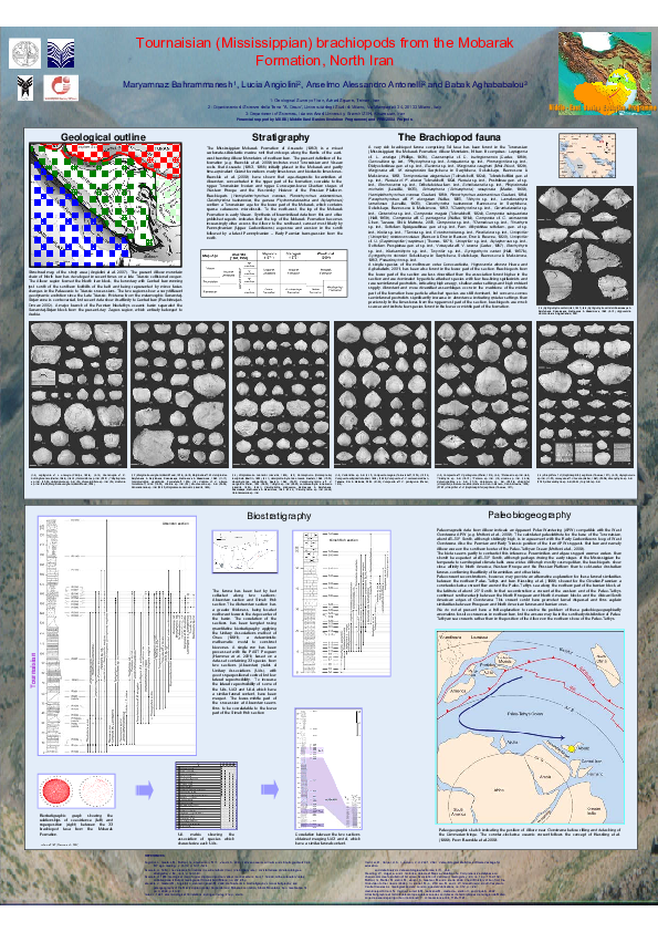 (PDF) Geological outline