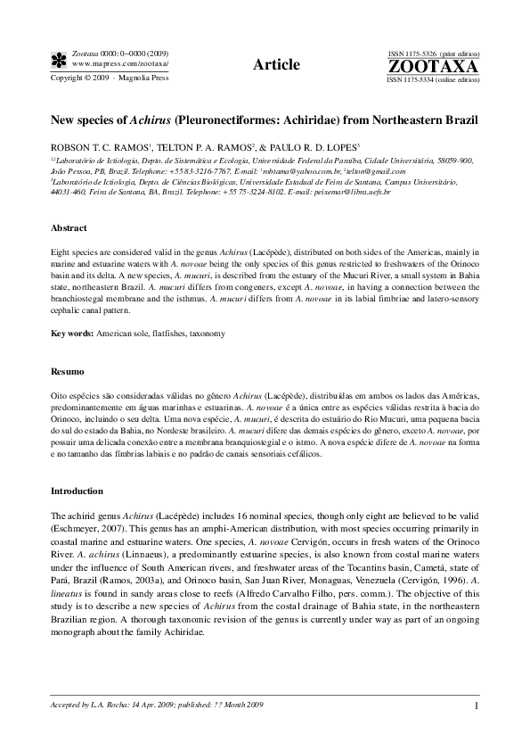 (PDF) New species of Achirus (Pleuronectiformes: Achiridae) from ...