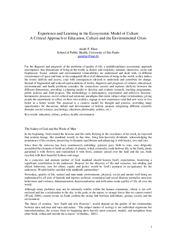 (PDF) Experience and Learning in the Ecosystemic Model of Culture A ...