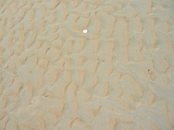 (PDF) Adhesion Ripples