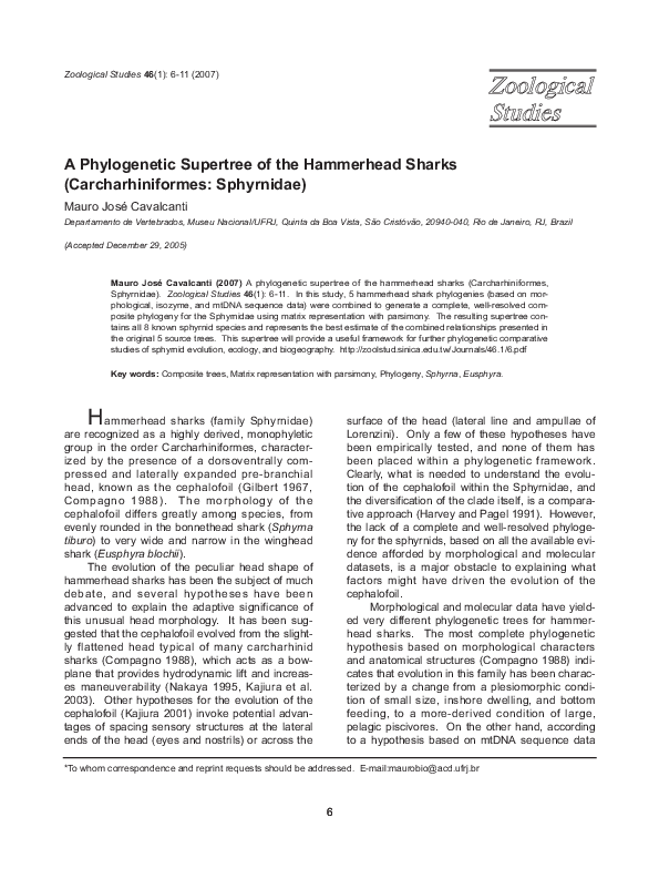 (PDF) A Phylogenetic Supertree of the Hammerhead Sharks ...