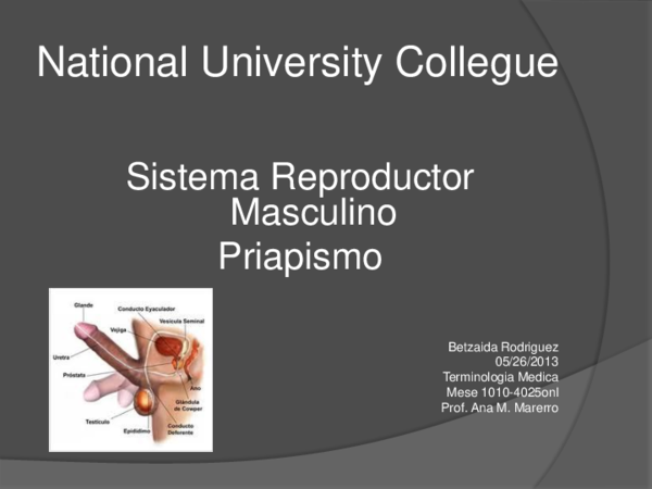 (PPT) Priapismo