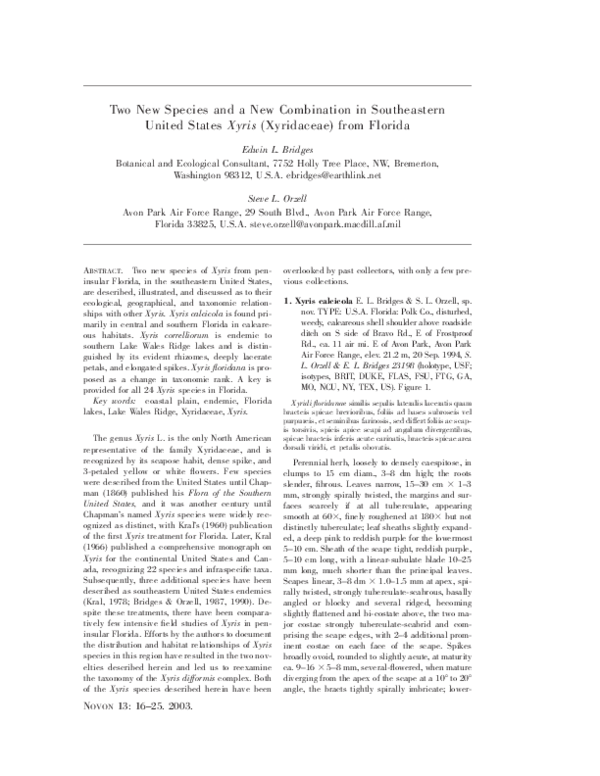 (PDF) Two new species and a new combination in southeastern United ...