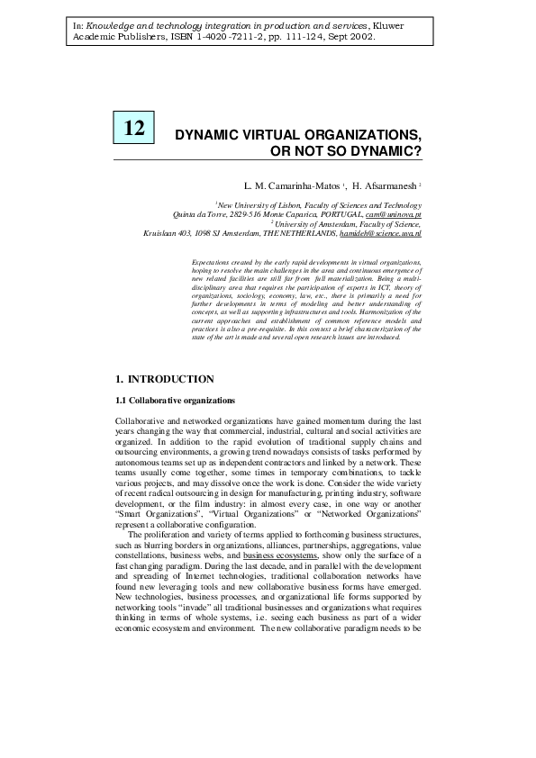 (PDF) DYNAMIC VIRTUAL ORGANIZATIONS, OR NOT SO DYNAMIC?