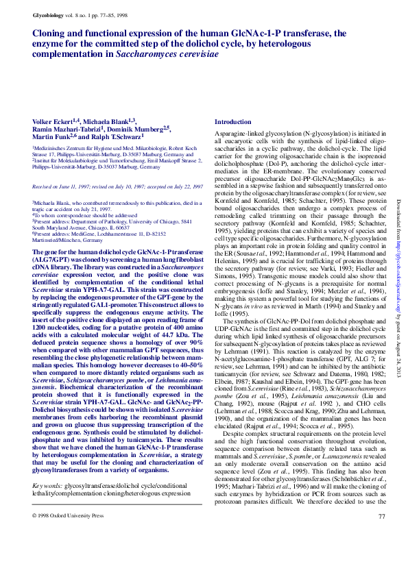 (PDF) Cloning and functional expression of the human GlcNAc-1-P ...