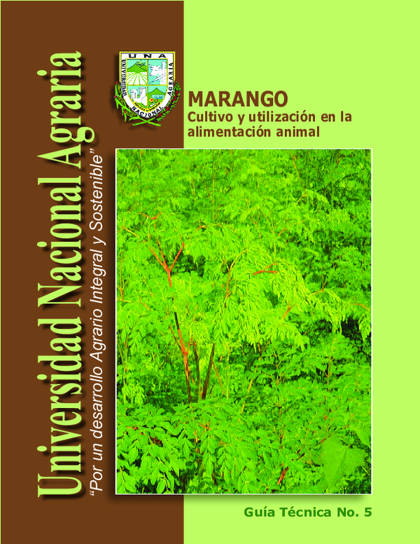(PDF) 1 El Marango