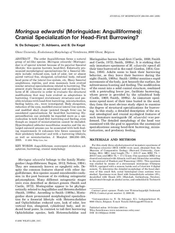 (PDF) Moringua edwardsi (Moringuidae: Anguilliformes): Cranial ...