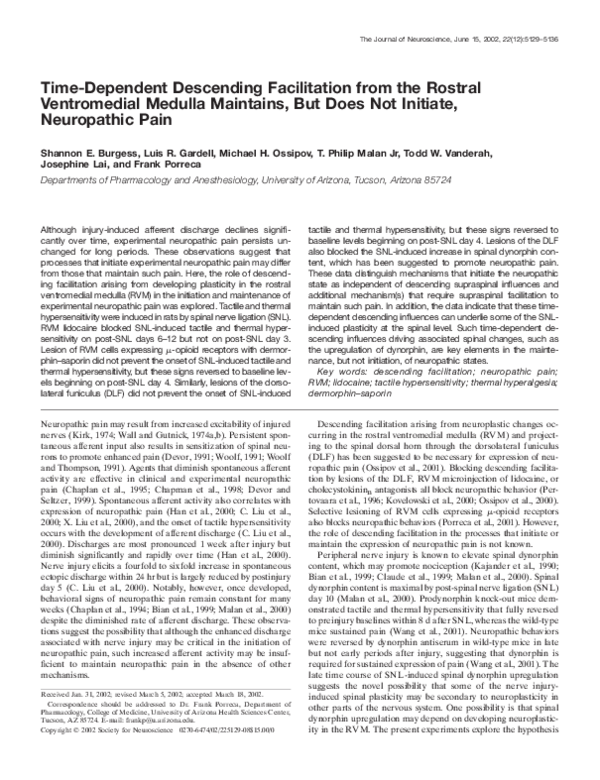 (PDF) Time-Dependent Descending Facilitation from the Rostral Ventromedial Medulla Maintains ...