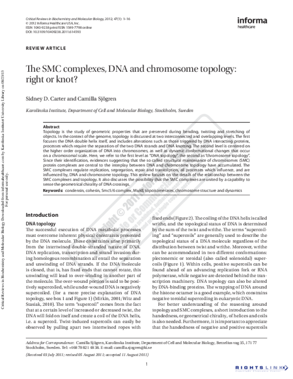 (PDF) The SMC complexes, DNA and chromosome topology: right or knot?