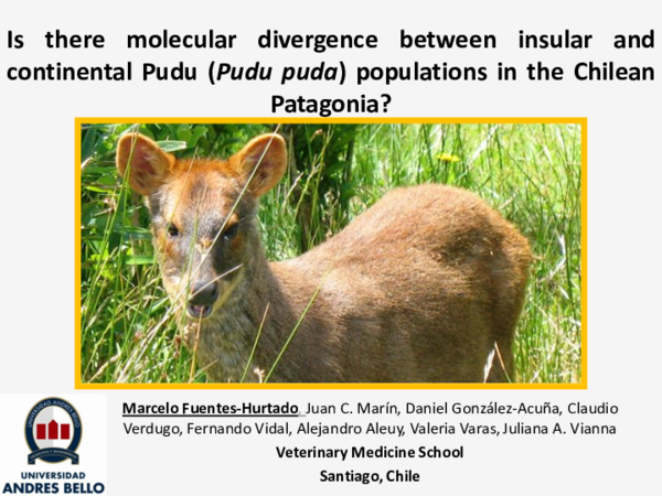 (PPT) Molecular evidence of historical Pudu puda island-continent ...
