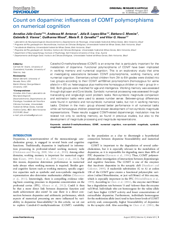 Pdf Count On Dopamine Influences Of Comt Polymorphisms On Numerical