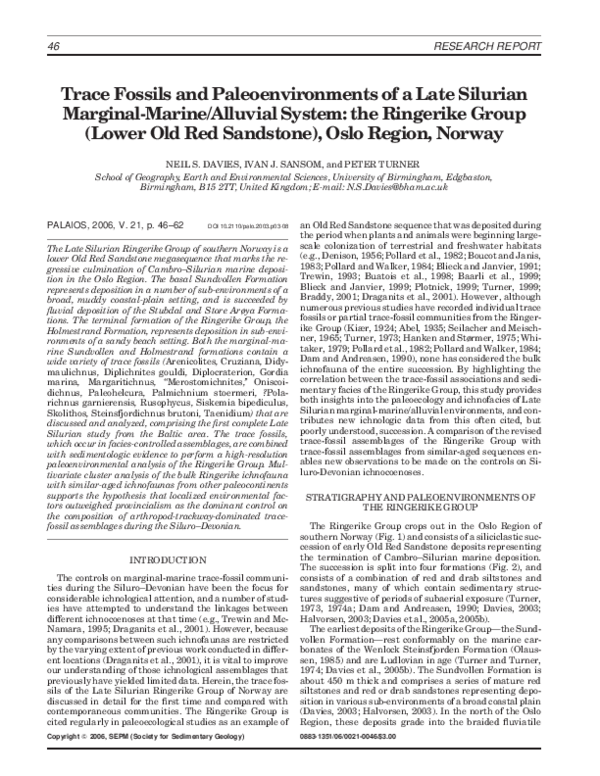 (PDF) Trace Fossils and Paleoenvironments of a Late Silurian Marginal ...