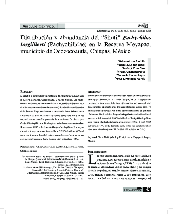 Distribución y abundancia del “Shuti” Pachychilus largillierti ...