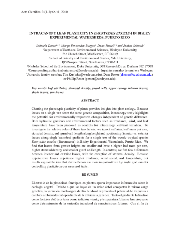 (PDF) Intracanopy leaf plasticity in Dacryodes excelsa in Bisley ...