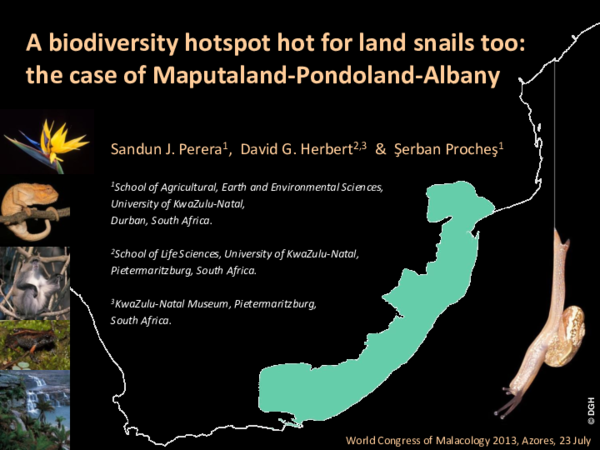 (PDF) A biodiversity hotspot hot for land snails too: the case of ...